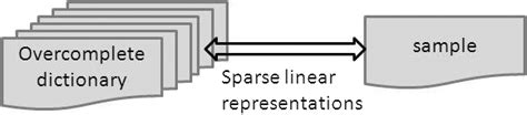 Sparse Representation Download Scientific Diagram