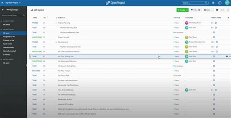 Record Working Time And Manage Projects In One System