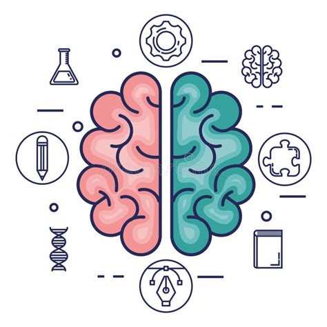 Brain Storming Set Icons Stock Illustration Illustration Of Settings 145783650