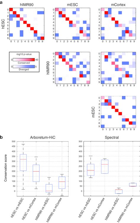 A Overlap Between Clusters From Four Cell Lines Inferred By Download Scientific Diagram