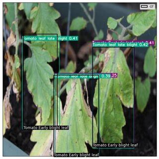 Comparison Of Object Detection In K Fold And Our Method For The Public
