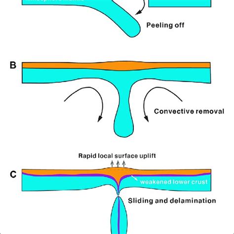 Pdf The Role Of Lower Crustal Rheology In Lithospheric Delamination
