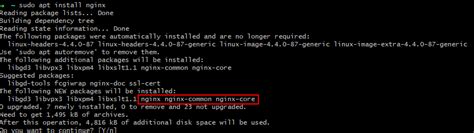 Debian APT Nginx 各个版本的区别 Issue islishude blog GitHub