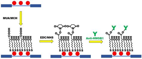 Fiber Optic Localized Surface Plasmon Resonance Sensor Based On Carboxymethylated Dextran