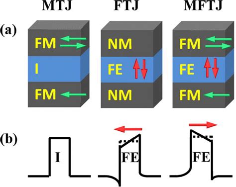 A Schematic View Of The Mtj Ftj And Mftj B Schematic