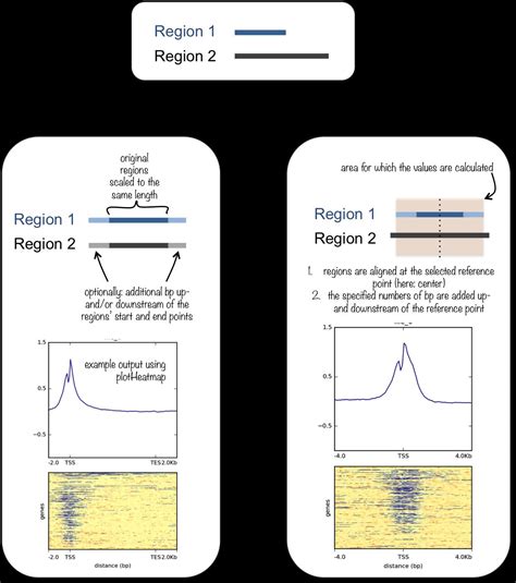 如何使用deeptools处理BAM数据 灰信网软件开发博客聚合