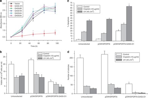 Gas5 01 Inhibits Hek 293t Cell Proliferation And Promotes Both