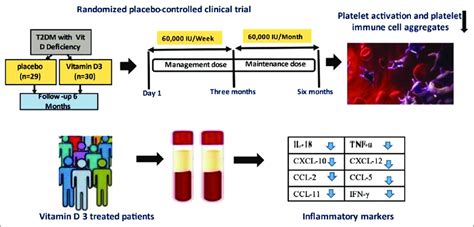 Effect Of Vitamin D Supplementation In Cardiovascular Disease Download Scientific Diagram