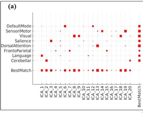Figure 1 From Modulation Effects Of Repeated Transcranial Direct Current Stimulation On The
