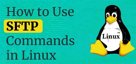 How To Use Sftp Command To Transfer Files