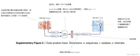 Alphafold2：highly Accurate Protein Structure Prediction With Alphafold Csdn博客