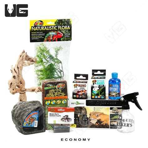COMPLETE Gallon Tree Frog Setup Underground Reptiles