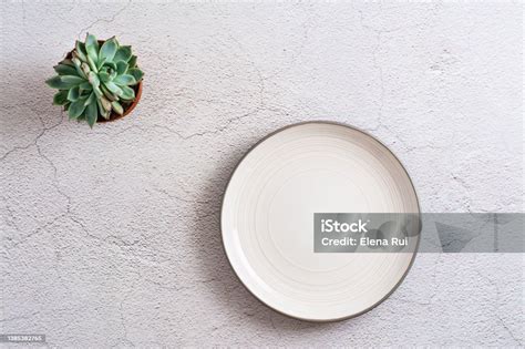 질감이 있는 회색 배경의 세라믹 플레이트와 즙이 많은 에코 템플릿 맨 위 보기입니다 0명에 대한 스톡 사진 및 기타 이미지