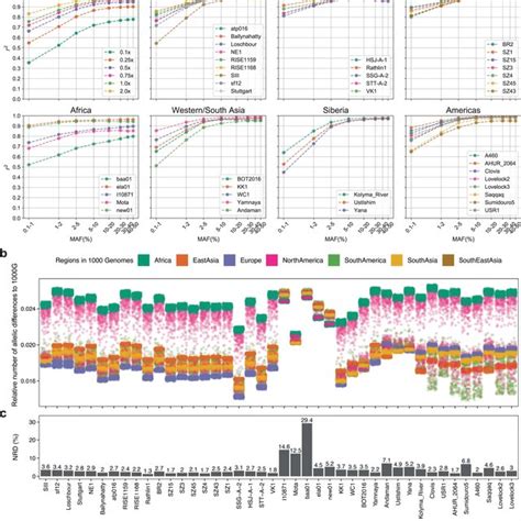 Imputation Quality Assessment For 1x Ancient Genomes And Genetic