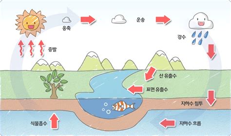 지구의 물 순환과 아프리카 네이버 블로그
