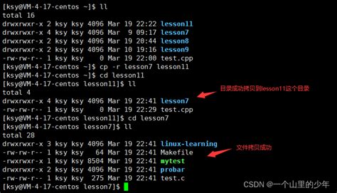 Linux中常用命令（初学者必备）linux常用命令大全新手入门 Csdn博客