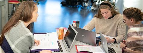 Hva Lærer Jeg Bachelor I Programmering Ntnu