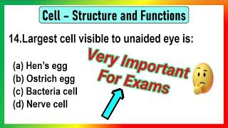 Class 8 Cell Structure Function Ch 8 Mcq Cell Structure Function Important Mcqs Questions All