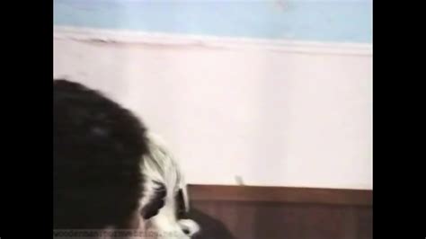 Diversions Usa Brandy Alexandre Trinity Loren