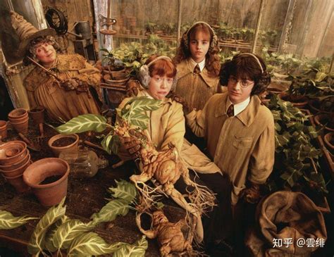 【hp原著解析】《哈利·波特》名词中隐藏的各种神话溯源：魔法植物和草药 知乎