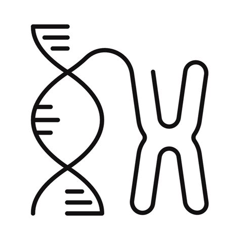How Sex And Genetics Influence Autoimmunity Global Autoimmune Institute