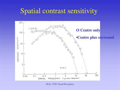 Ppt Concept Of Receptive Field Powerpoint Presentation Free Download