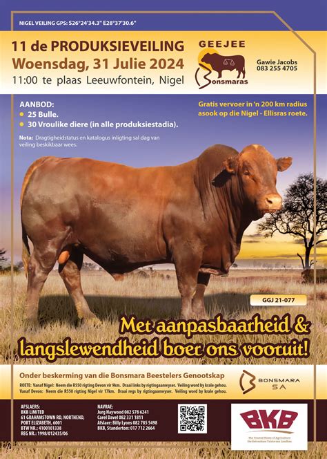 11de Geejee Bonsmaras Produksieveiling 31 Jul 2024 31 Jul 2024 Bkb Events