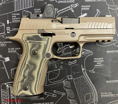 Sig Sauer Custom Shop 320 Axg Scorpion Northwest Firearms