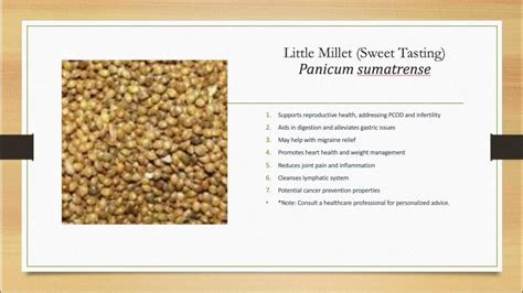 Little Millet Sweet Tastingpanicum Sumatrense Youtube
