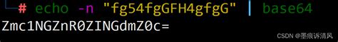 shell base64 编码解码 csdn博客