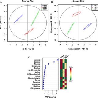 PCA Score Plot A PLS DA Score Plot B And VIP Scores C Of Download Scientific Diagram