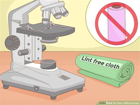 How To Use A Microscope With Pictures WikiHow
