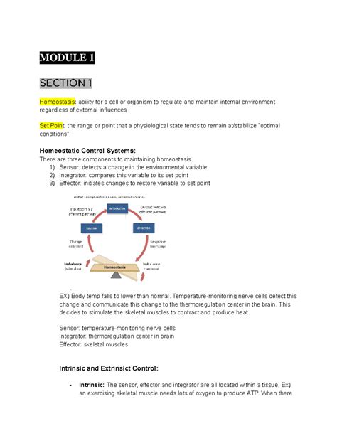 PHGY Module Notes MODULE SECTION Homeostasis Ability For A Cell Or Organism To