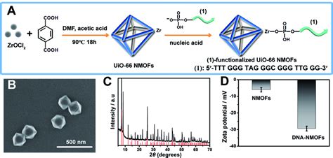 A Synthesis Of The Nucleic Acid 1 Functionalized Uio 66 Nmofs B