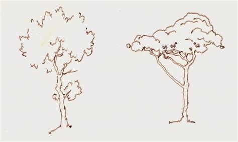 Léloquence Du Dessin Dessiner Expérience N°2