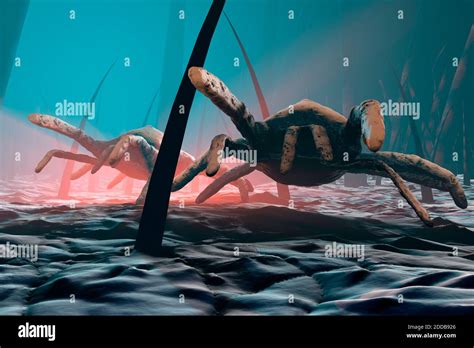 Three Dimensional Render Of Mites Crawling Between Hair On Human Scalp Stock Photo Alamy