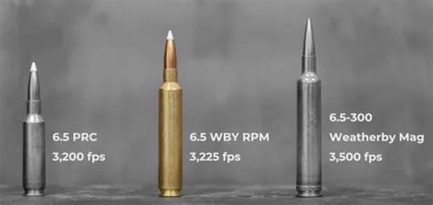 Whats Different About Weatherbys New Rifle Cartridge Guidefitter