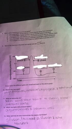 Diagram Diagram Quizlet