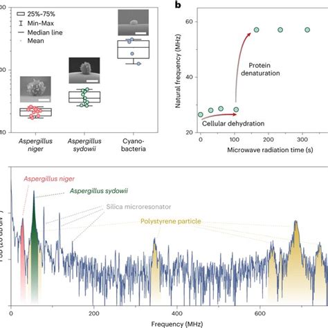 Microresonator Based Vibrational Spectroscopy A The Frequencies Of Download Scientific Diagram
