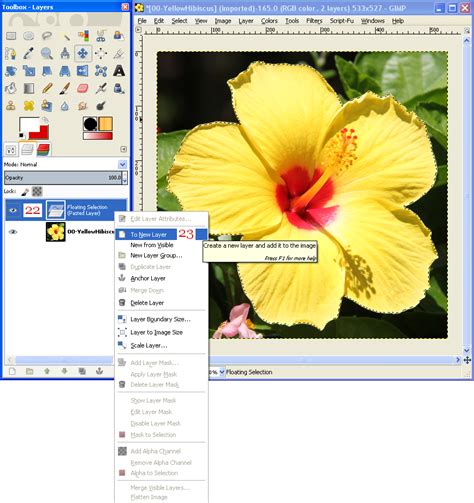 Clown Fish Cafe Gimp 28 Tutorial Which Tool Should I Use To Cut Out An Irregular Image
