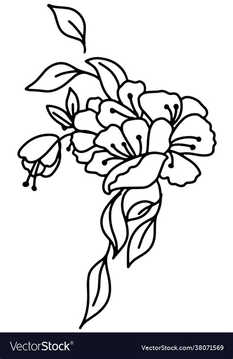 Black And White Flower Outline