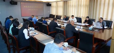 城发集团召开2022年第15次总经理会 通城城发集团