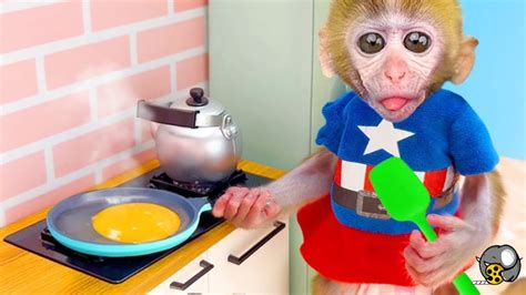 بچه میمون در حال آشپزی حیوانات خانگی باهوش خانه حیوانات فیلو
