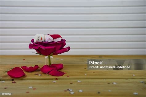 작은 유리 항아리에 자연 나무 배경에 꽃 내부 마 시 맬로에서 만든와 마음 그리고 작은 별 뿌리고 자 눈사람 신선한 빨간 장미와 함께 낭만적인 겨울 시즌 사진 이미지 0명에