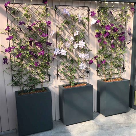 Trellis Panels Lattice At Andrew Gillan Blog