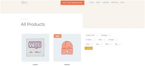 How To Create Filtered Sidebars For Your Divi WooCommerce Pages
