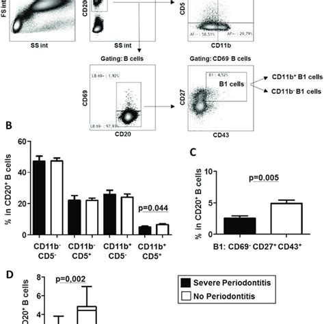 Expression Of B Cell Activation Markers In The B Cell Subsets From Download High Quality