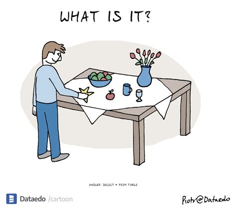 Select Dataedo Data Cartoon