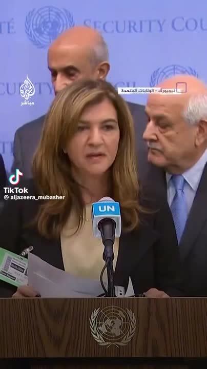 Mohamed El Shazly On Linkedin Gaza