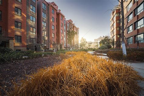 Multi Layer Cell Picture And Hd Photos Free Download On Lovepik